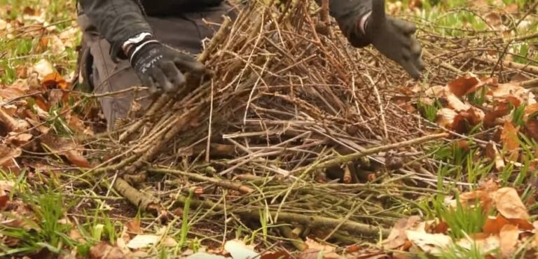 Log Cabin Fire: Prevention, Safety, and Precautions